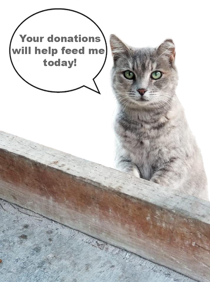 Donate